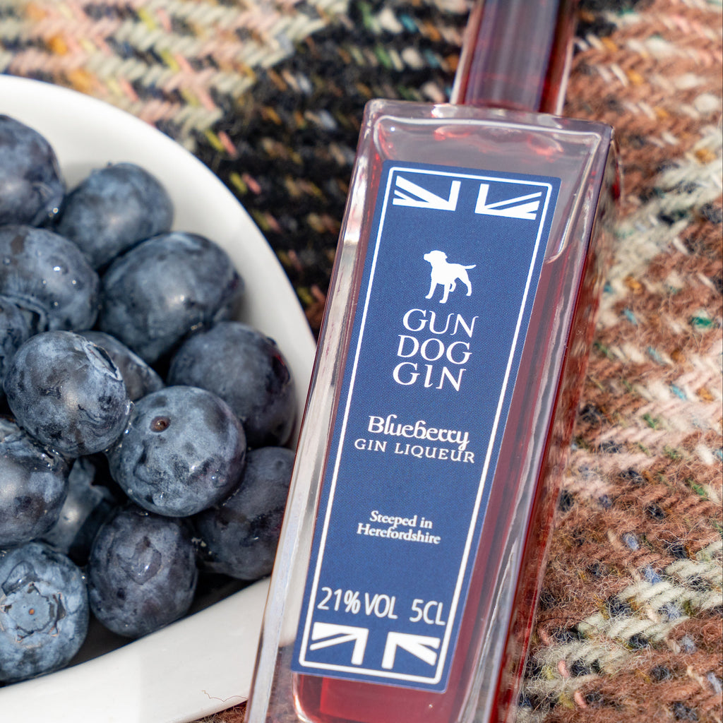 Blueberry Gin Liqueur – Gun Dog Gin