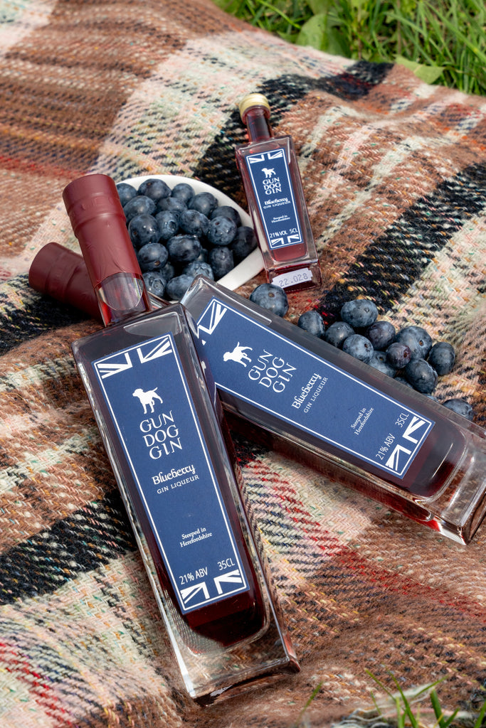 Blueberry Gin Liqueur – Gun Dog Gin